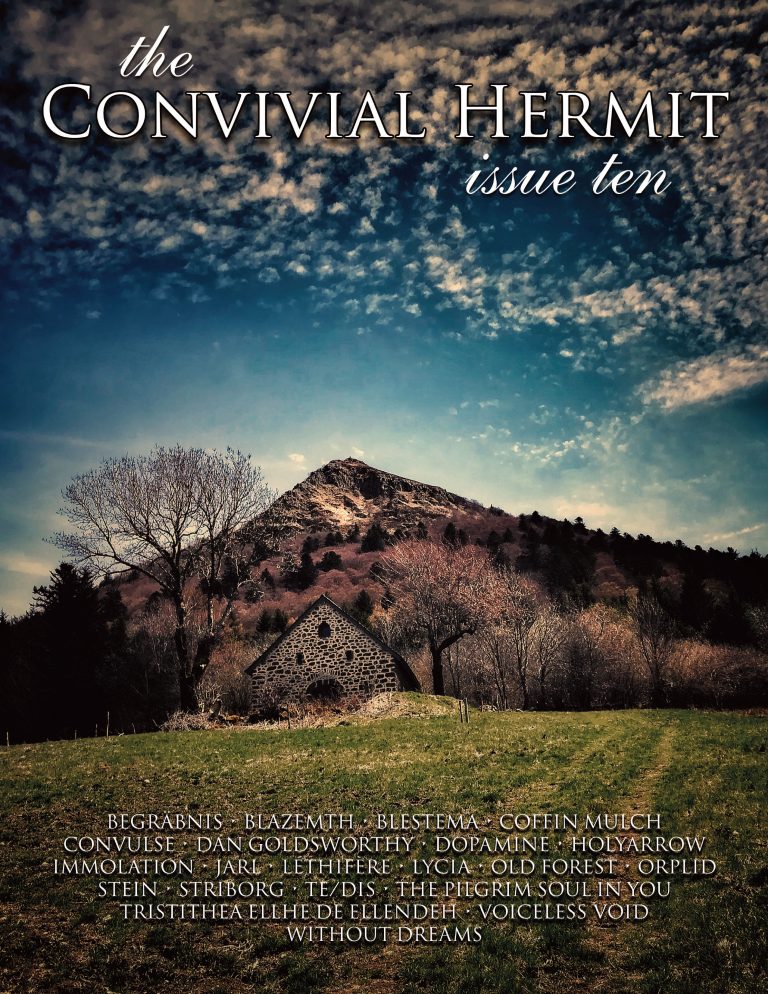 The Convival Hermit - Issue #10 – Paragon Records Shop